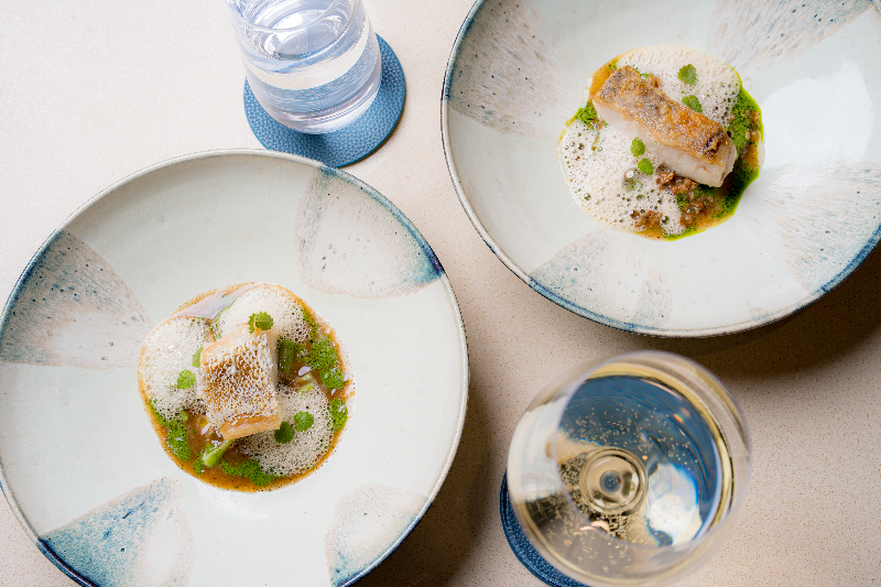 Seed by Whitegrass - Japanese, The Five, | TABLEAPP